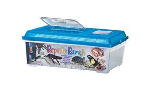 lee's reptile ranch, large, rectangle with lid, colors may vary