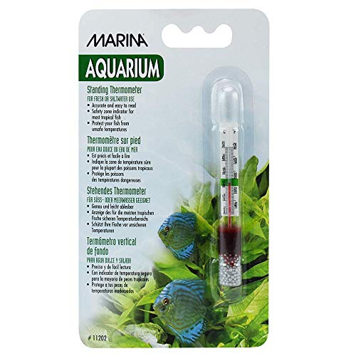 Marina Large Standing Thermometer - Provides Temperature in Fahrenheit and Celsius