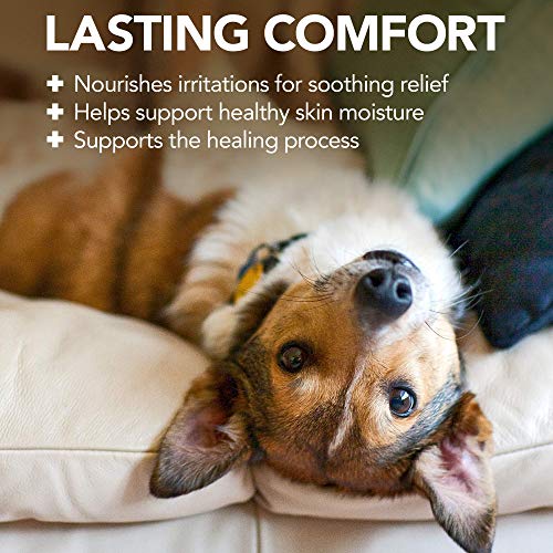 Vet’s Best Dog Hot Spot Itch Relief Spray | Relieves Dry Skin, Rash, Scratching, Licking, Itchy Skin, and Hot Spots | No-Sting and Alcohol Free | 16 Ounces