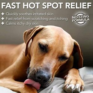 Vet's Best Hot Spot Itch Relief Shampoo for Dogs | Relieves Dog Dry Skin, Rash, Scratching, Licking, Itchy Skin, and Hot Spots | 16 Ounces