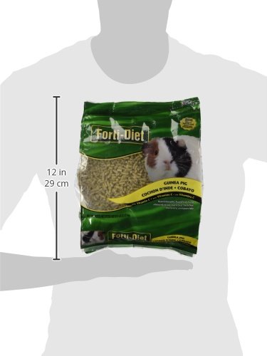 Kaytee Forti Guinea Pig Food, 5 Lb