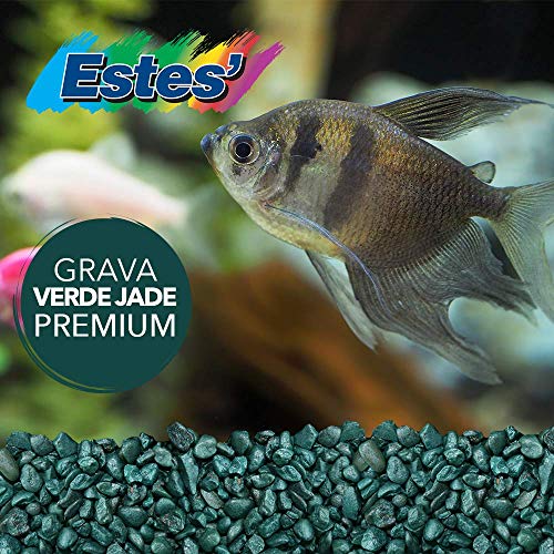 Spectrastone Special Green Aquarium Gravel for Freshwater Aquariums, 5-Pound Bag