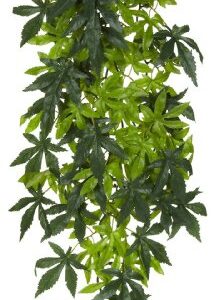 Exo Terra Silk Terrarium Plant, Large, Abutilon