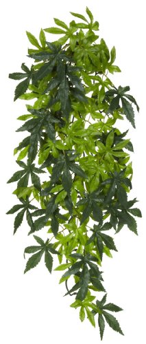 Exo Terra Silk Terrarium Plant, Large, Abutilon