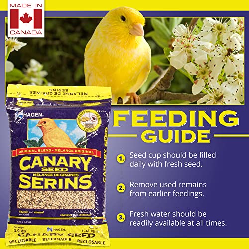 Hagen Canary Staple Vme Seed, 3-Pound