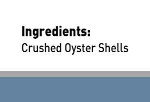 Oyster Shells, 15.5 Ounces