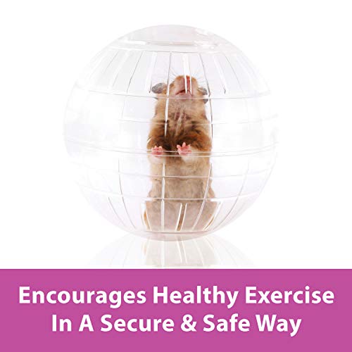 Kaytee 7" Clear Run-About Exercise Ball For Pet Hamsters & Gerbils