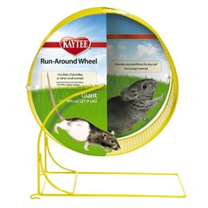 kaytee run-around exercise wheel, 11"