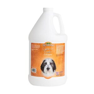 bio-groom groom'n fresh pet cologne, 1-gallon