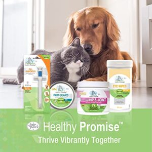 Four Paws Healthy Promise Easy Feeder Pet Feeding Syringe