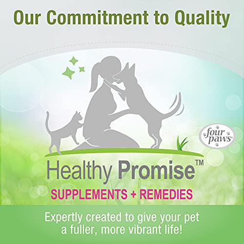 Four Paws Healthy Promise Easy Feeder Pet Feeding Syringe