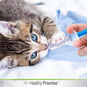 Four Paws Healthy Promise Easy Feeder Pet Feeding Syringe