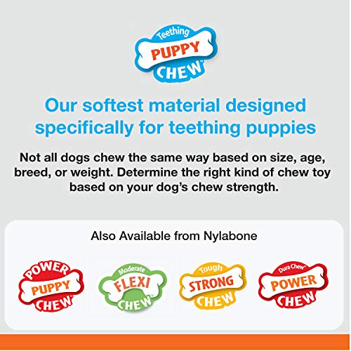 Nylabone Puppy Chew Toy & Treat Starter Pack - Puppy Chew Toys for Teething - Long Lasting Puppy Chew Treat - Puppy Supplies - Chicken & Bacon Flavor, Small (3 Count)