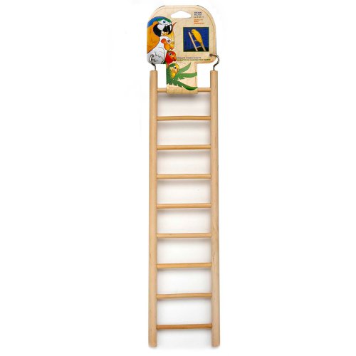 Penn-Plax (BA115 9-Step Wooden Bird Ladder | Easy to Install | Fun Exercise for Your Bird