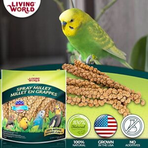 Living World Spray Millet, 17.6 Oz