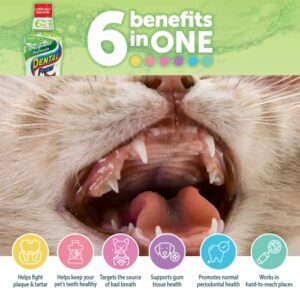 Dental Fresh Water Additive for Cats, Original Formula, 8 oz – Cat Breath Freshener – Products for Cats to Help Overall Cat Dental Health