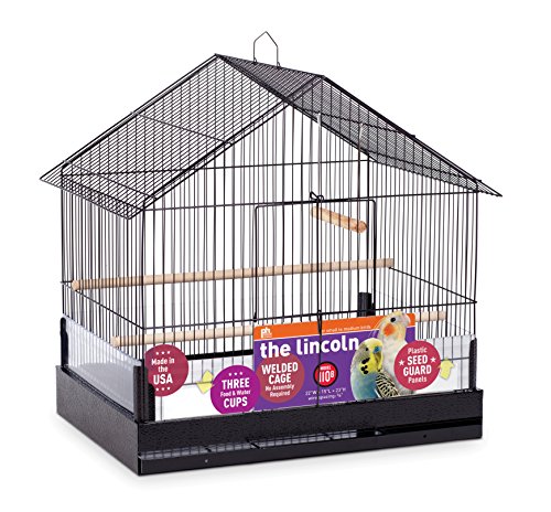 Prevue Pet Products Lincoln Bird Cage, Black, 22 x 15 x 23 inches (110B)