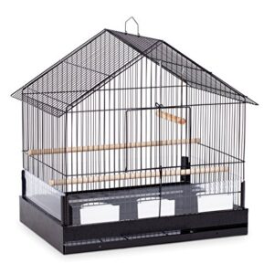 Prevue Pet Products Lincoln Bird Cage, Black, 22 x 15 x 23 inches (110B)