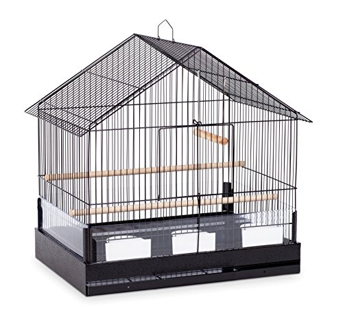 Prevue Pet Products Lincoln Bird Cage, Black, 22 x 15 x 23 inches (110B)