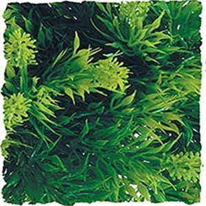 zoo med laboratories szmbu13 natural bushy malaysian fern, small