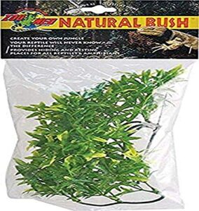 zoo med laboratories szmbu15 natural bushy bolivia croton, small