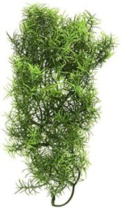 zoo med laboratories szmbu28 natural bushy cashuarina, medium