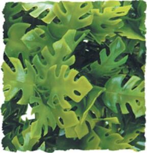 zoo med naturalistic bush plant amazon phyllo, large