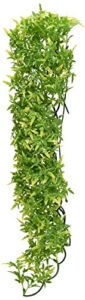 zoo med naturalistic bush plant bolivian croton, large