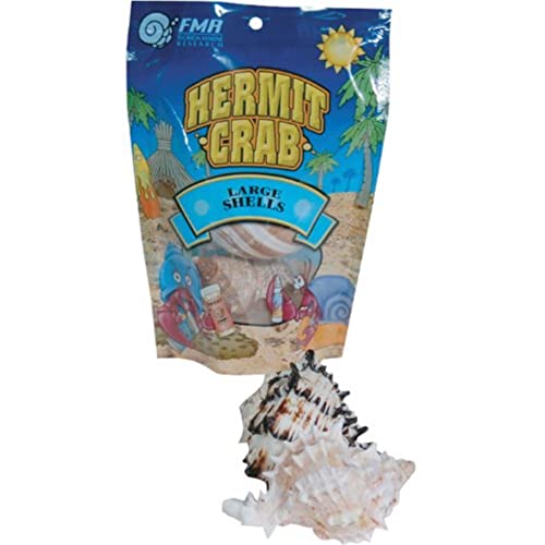 MOJETTO Shells for Hermit Crabs - Large - 2 pk