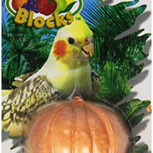 Prevue Pet Products Fruit Bird Mineral Blocks Assorted Styles and Colors Sold Individually