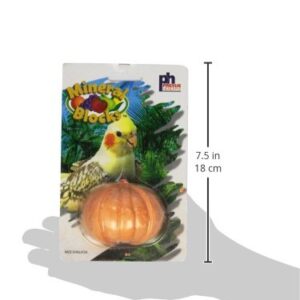 Prevue Pet Products Fruit Bird Mineral Blocks Assorted Styles and Colors Sold Individually