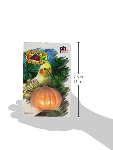 Prevue Pet Products Fruit Bird Mineral Blocks Assorted Styles and Colors Sold Individually