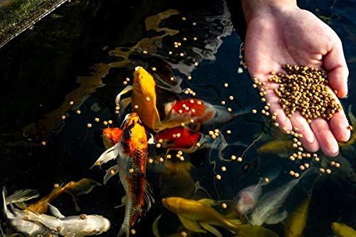 Blue Ridge Fish Food [5lb], Color Rich Formula 3/16" Floating Pellet, Koi and Goldfish