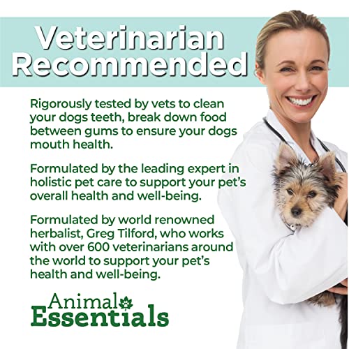 Animal Essentials Liver Defense Liver Support for Dogs & Cats, 1 fl oz - Made in USA, Dandelion & Milk Thistle