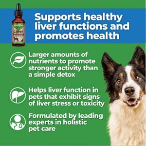 Animal Essentials Liver Defense Liver Support for Dogs & Cats, 1 fl oz - Made in USA, Dandelion & Milk Thistle