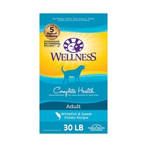 wellness complete health dry dog food with grains, made in usa with real meat & natural ingredients, all breeds, adult dogs (whitefish, 30-lb) – with nutrients for immune, skin, & coat support