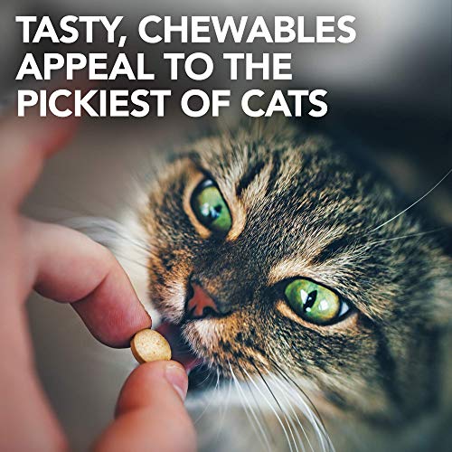 Vet's Best Cat Urinary Tract Support Chewables | Supports A Healthy Urinary Tract in Cats | 60 Chewable Tablets