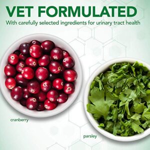 Vet's Best Cat Urinary Tract Support Chewables | Supports A Healthy Urinary Tract in Cats | 60 Chewable Tablets