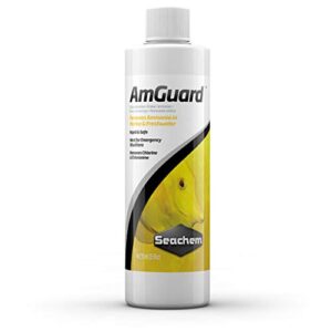 seachem amguard 250ml