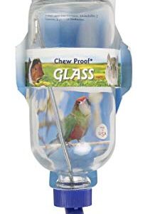 LIXIT Chew Proof Glass Water Bottle 16oz