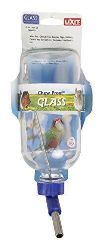 LIXIT Chew Proof Glass Water Bottle 16oz