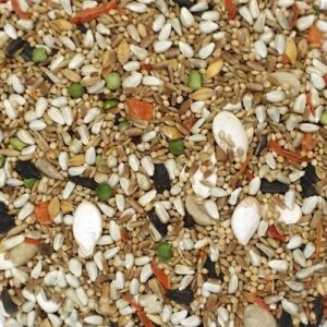 Sweet Harvest Conure and Lovebird Bird Food, 4 lbs Bag - Seed Mix for Conures and Lovebirds