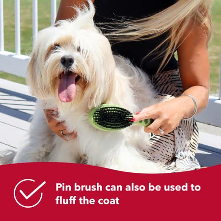 Coastal Pet Safari Pin and Bristle Combo Dog Brush with Plastic Handle - 2-in-1 Wire Pin Brush and Dog Bristle Brush - Ideal for Multi-Dog Household - For Dogs with Short and Long Hair - Large