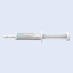 PetAg Bene-Bac Plus Bird & Reptile Gel with Probiotics - Contains Seven Microorganisms - 15 g Syringe