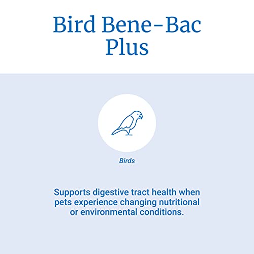 PetAg Bene-Bac Plus Bird & Reptile Gel with Probiotics - Contains Seven Microorganisms - 15 g Syringe