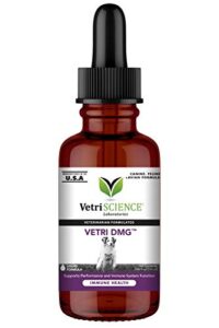 vetriscience vetri dmg liquid drop immune support supplement for dogs, cats and birds, 112ml bottle