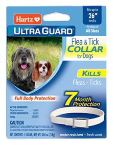 hartz ultraguard flea & tick collar for dogs and puppies - 26" neck, 7 month protection