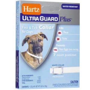 hartz ultraguard plus flea & tick dog collar