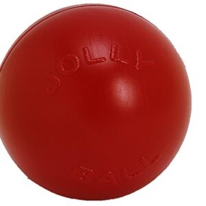 Jolly Pets Push-n-Play Ball Dog Toy, 10 Inches/Large, Red (310 RD)