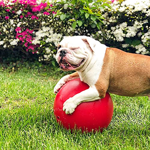 Jolly Pets Push-n-Play Ball Dog Toy, 10 Inches/Large, Red (310 RD)